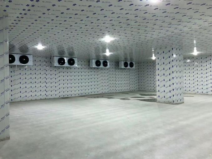 Customized Cold Storage Room With Stainless Steel Material 60hz / Walk ...