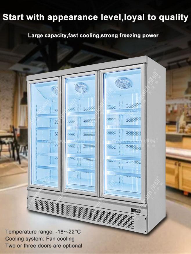 110V Commercial Upright Freezer Seafood Ice Cream Frozen Chicken ...