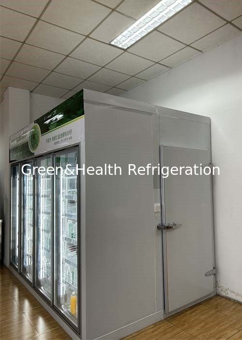 Glass Door Cold Room Freezer For Frozen Food Back Load Fridge