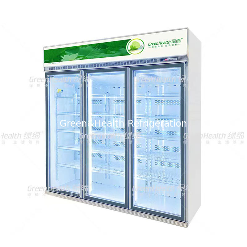 Glass Door Display Refrigerator Showcase with Digital Temperature ...