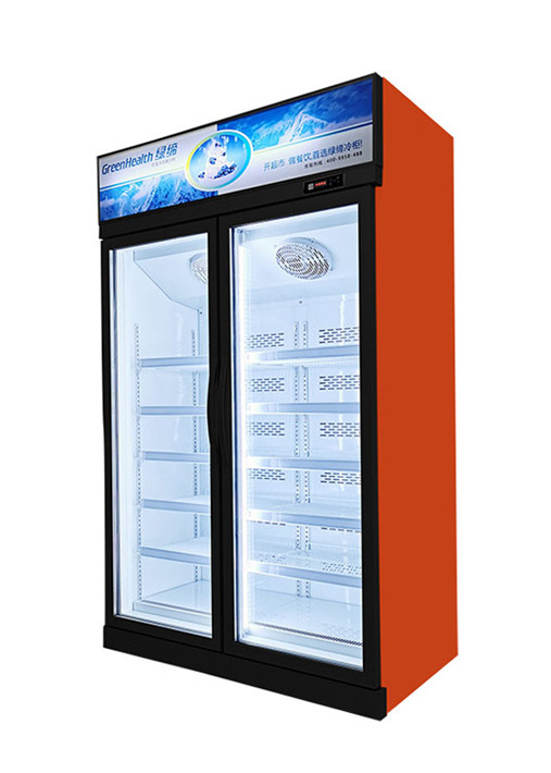 Refrigeration Equipment Supplies Vertical Display Freezers With R290a 450L