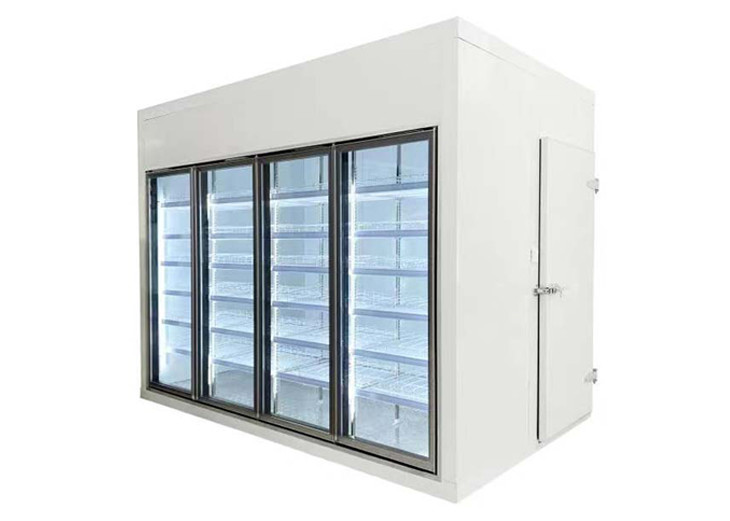 Front Open Glass Door Cold Room Display Chiller With Back Load
