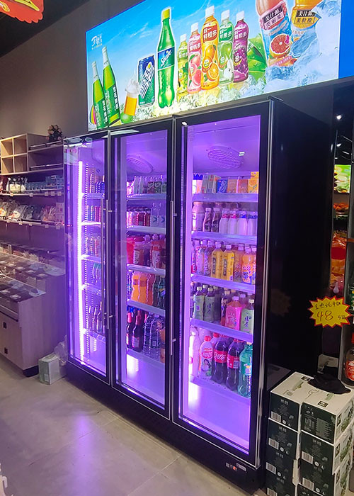 Commercial Vertical Beer Display Cooler Double Door Drinks Refrigerator