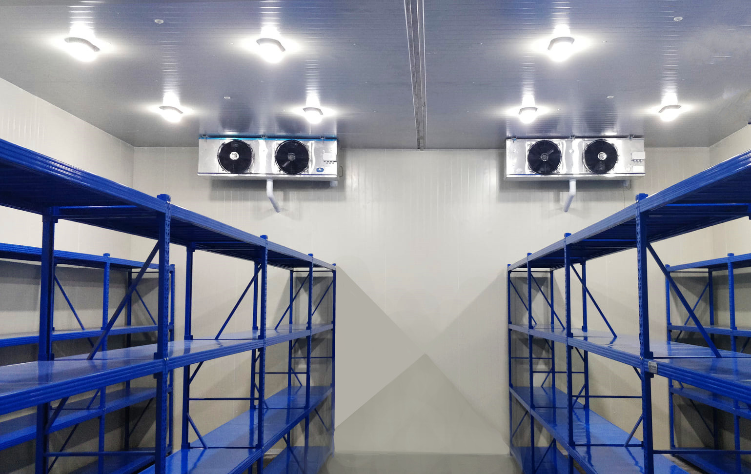 Cold Room Walk-In Refrigeration Food Storage Room With PU Panel