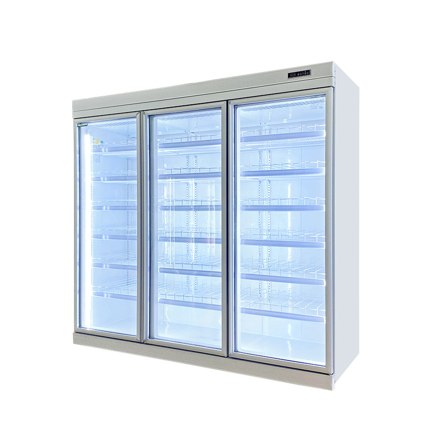Fan Cooling Copeland Swing Glass Door Freezer With R404 Refrigerant