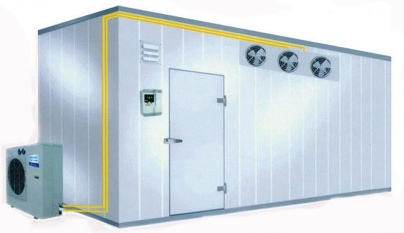 Fire-Resistant Cold Room R404a Refrigerant Big Capacity Freezer Room