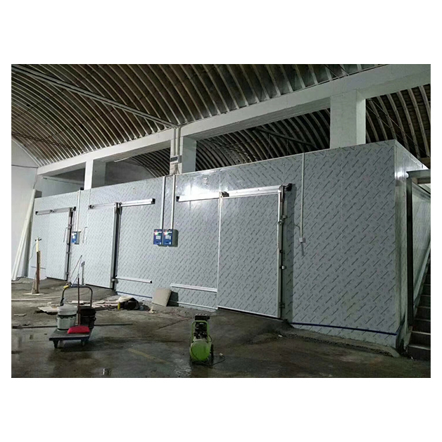 Large Storage Energy-Efficient Commercial Cold Room Freezer