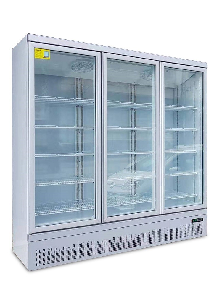 Modle Glass Door Commercial Beverage Cooler For Outlets