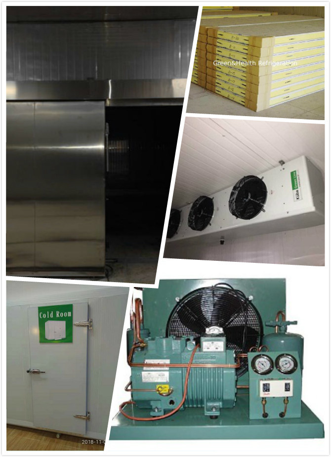 Air Cooling Mini Vegetable Cold Storage Room / Quick - Freezing Walk In ...
